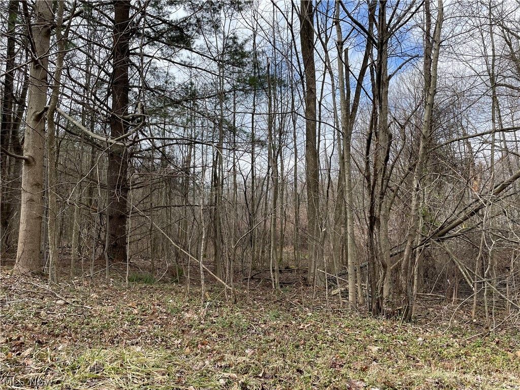 11982 Fowlers Mill Rd, Chardon, OH 44024 - See Est. Value, Schools & More