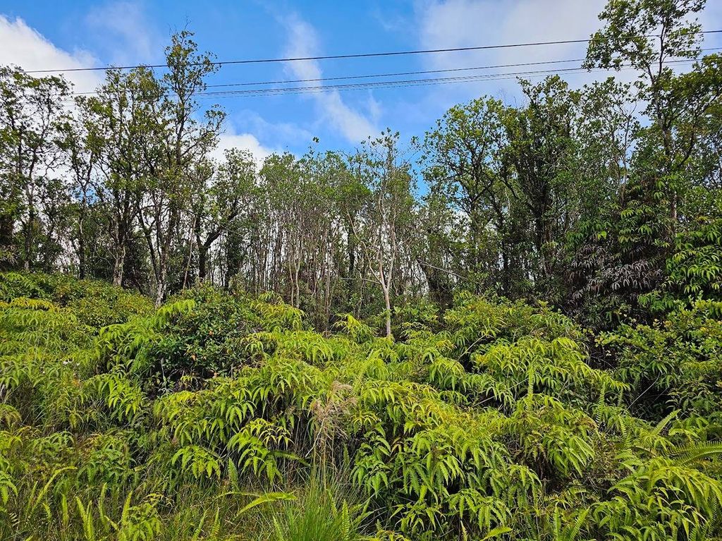 Jungle King Ave #71, Volcano, HI 96785 - See Est. Value, Schools & More