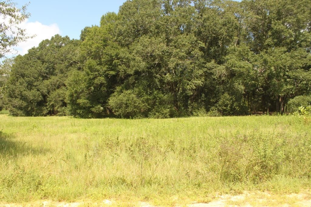 Lakeview Ct #9, Cottonton, AL 36851 - See Est. Value, Schools & More