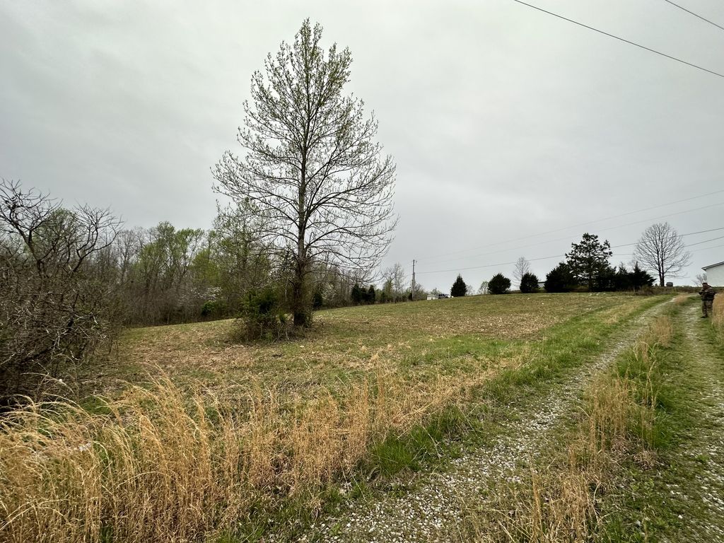 Ashley Ct, Bon Aqua, TN 37025 | Trulia