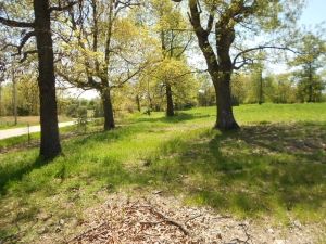 Harmon Rd, Harrison, AR 72601 - See Est. Value, Schools & More