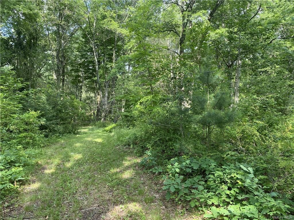 00 Dann Farm Road, Pound Ridge, NY 10576 | Trulia