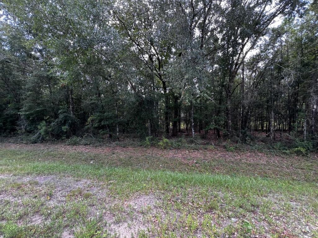 Solomon Dairy Rd, Quincy, FL 32352 | MLS# 389141 - Trulia | Trulia
