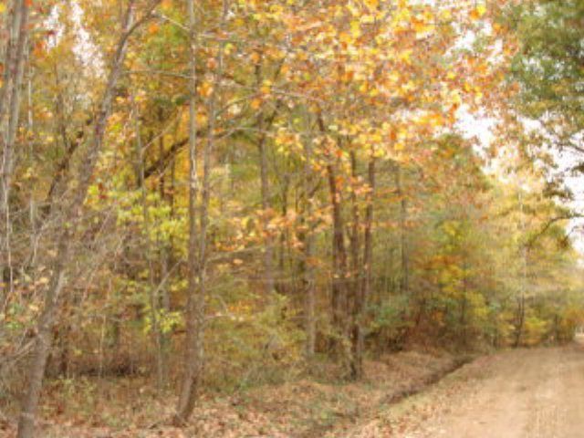 Xxx Old Dover Rd, Cadiz, KY 42211 | Trulia