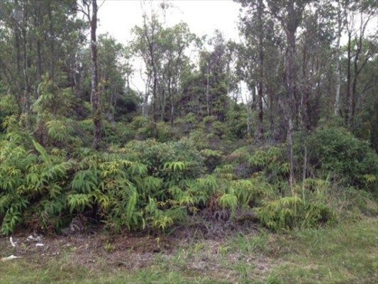 Manini Ct #3, Mountain View, HI 96771 - See Est. Value, Schools & More