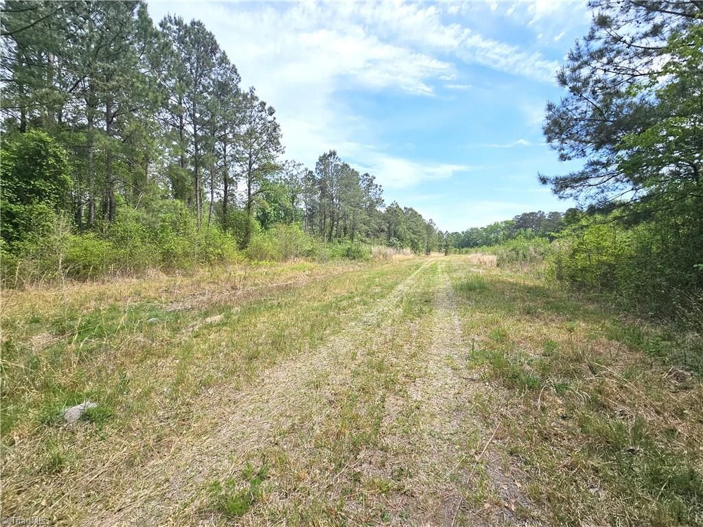 Xx 54 Acres Country Rd, La Grange, NC 28551 | MLS# 1140295 | Trulia
