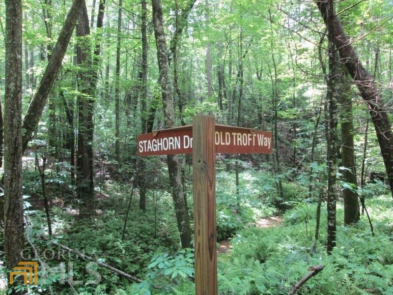Staghorn & Old Troft #39, Sautee Nacoochee, GA 30571 - See Est. Value ...