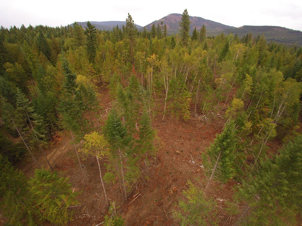 NNA Southside School Rd., Cocolalla, ID 83813 | Trulia