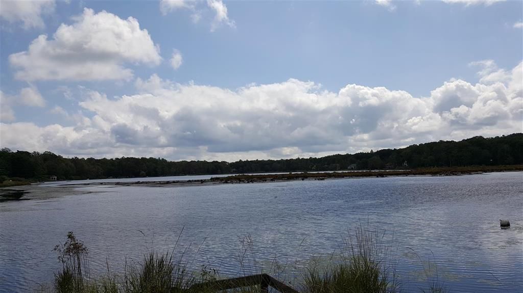 Manchester Road, Rock Hill, NY 12775 - See Est. Value, Schools & More