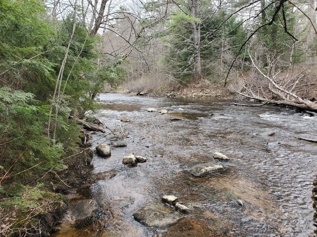 6 Beech River Circle, Center Ossipee, NH 03814 | Trulia 6 Beech River Circle, Center Ossipee, NH 03814 | Trulia