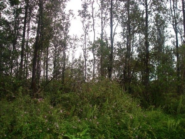 Uilani Dr #13, Pahoa, HI 96778 - See Est. Value, Schools & More