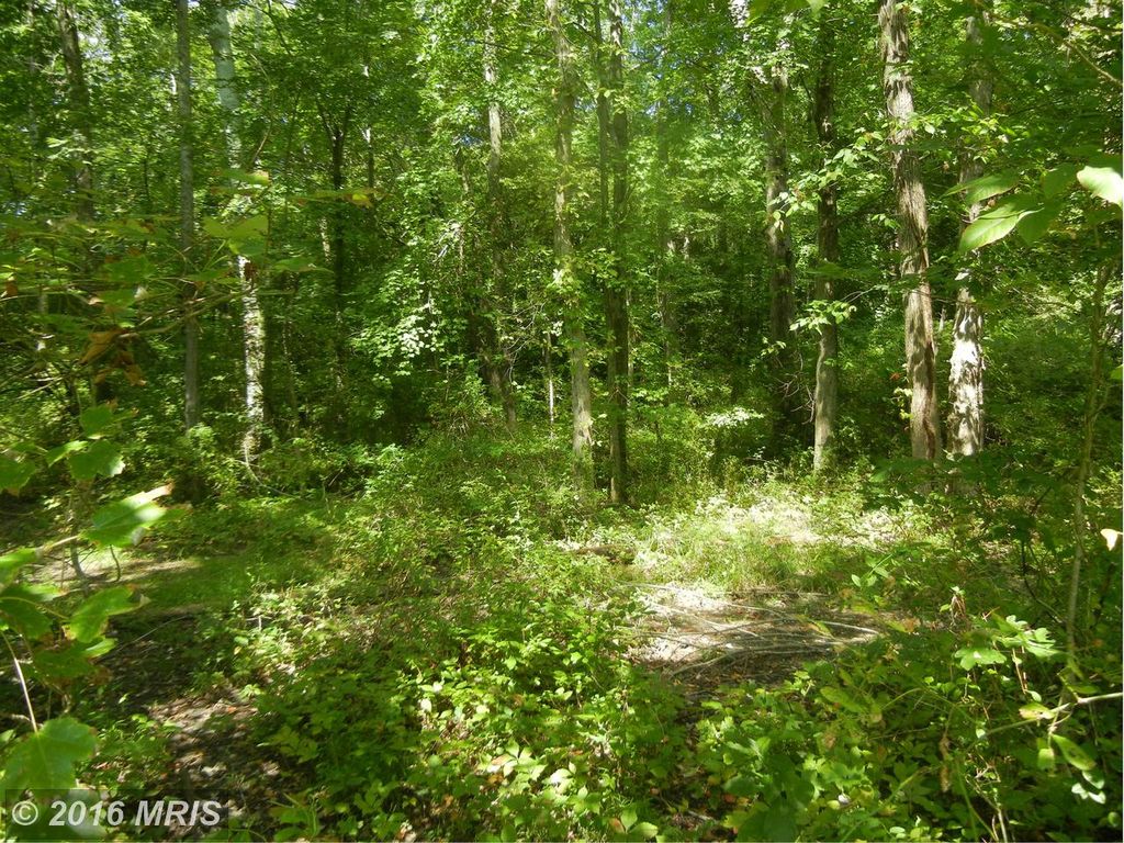 12310 Stoney Batter Rd, Kingsville, MD 21087 - See Est. Value, Schools ...