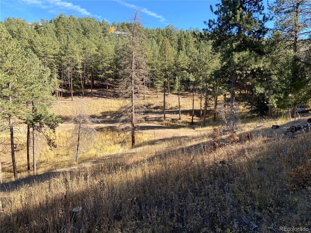 21508 Trappers Trail, Morrison, CO 80465 | Trulia