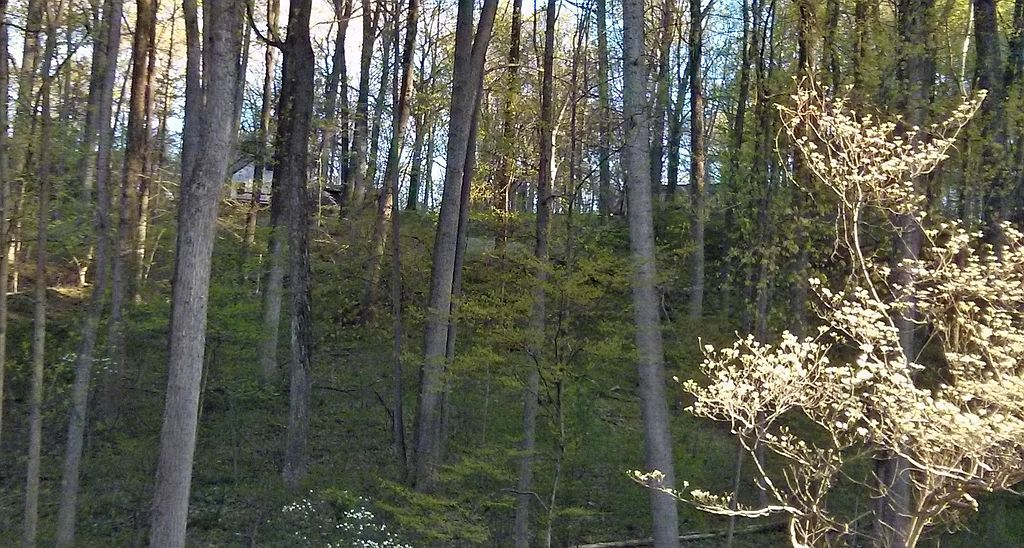 7831 Harriet Tubman Ln, Columbia, MD 21044 | Trulia