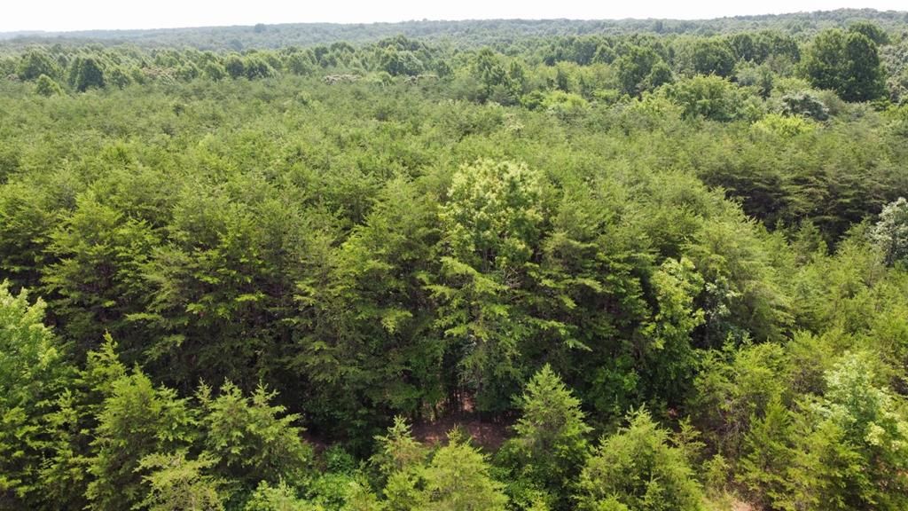 Elam Dr, Prospect, VA 23960 | Trulia