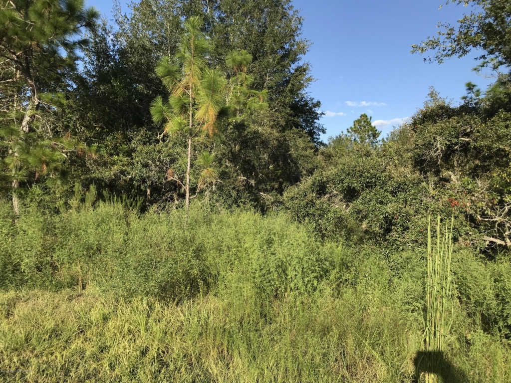 12339 Hoodridge Ct, Brooksville, FL 34614 - See Est. Value, Schools & More