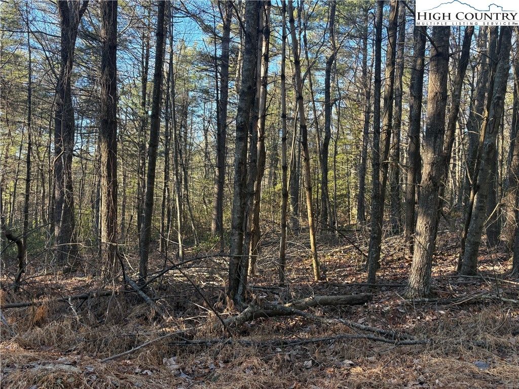 Lot #24 Eagles Nest Lane, Glade Valley, NC 28627 | MLS# 259674 - Trulia ...