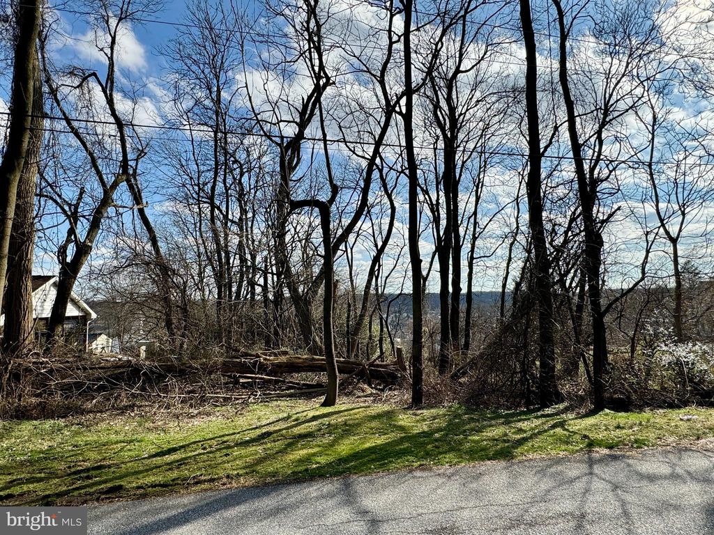 217 & 219 Chapel Ave, Parkesburg, PA 19365 | MLS# PACT2060974 | Trulia