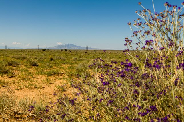 Mesa, Belen, NM 87002 - See Est. Value, Schools & More