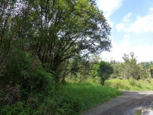 16-1770 Road 6 #4216, Mountain View, HI 96771 - See Est. Value, Schools ...