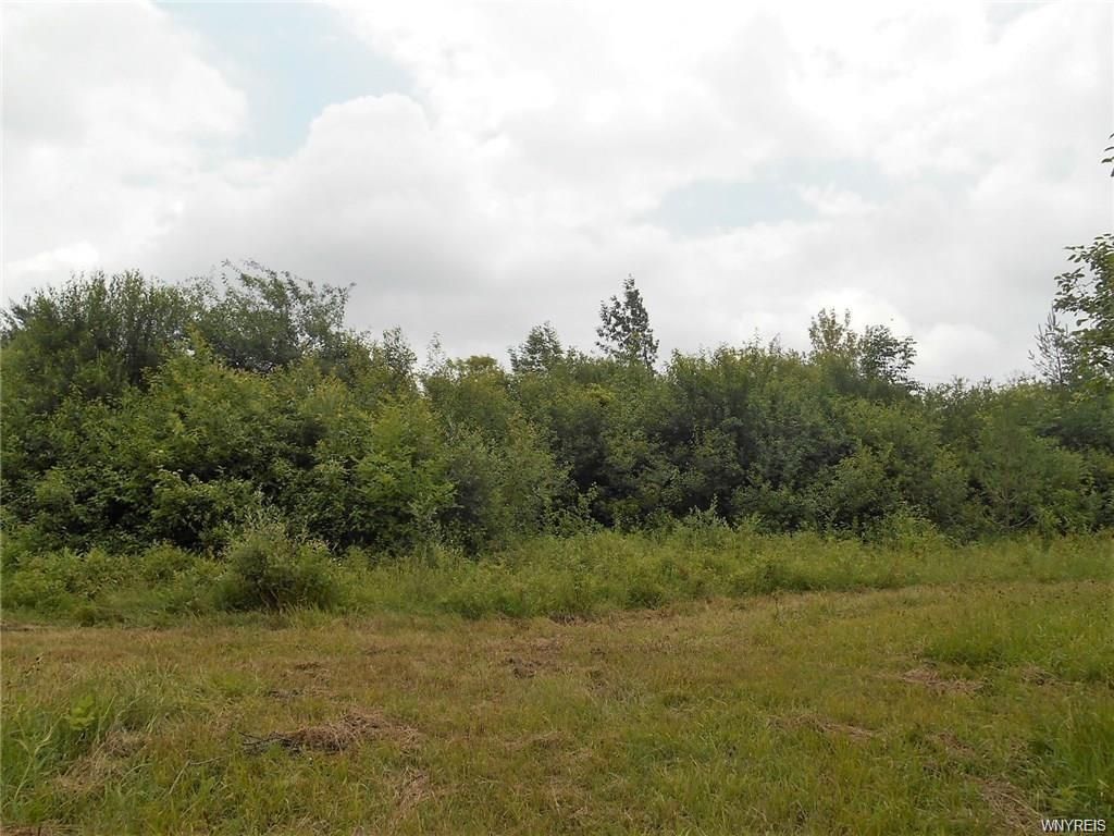 Bullis Rd, Elma, NY 14059 - See Est. Value, Schools & More