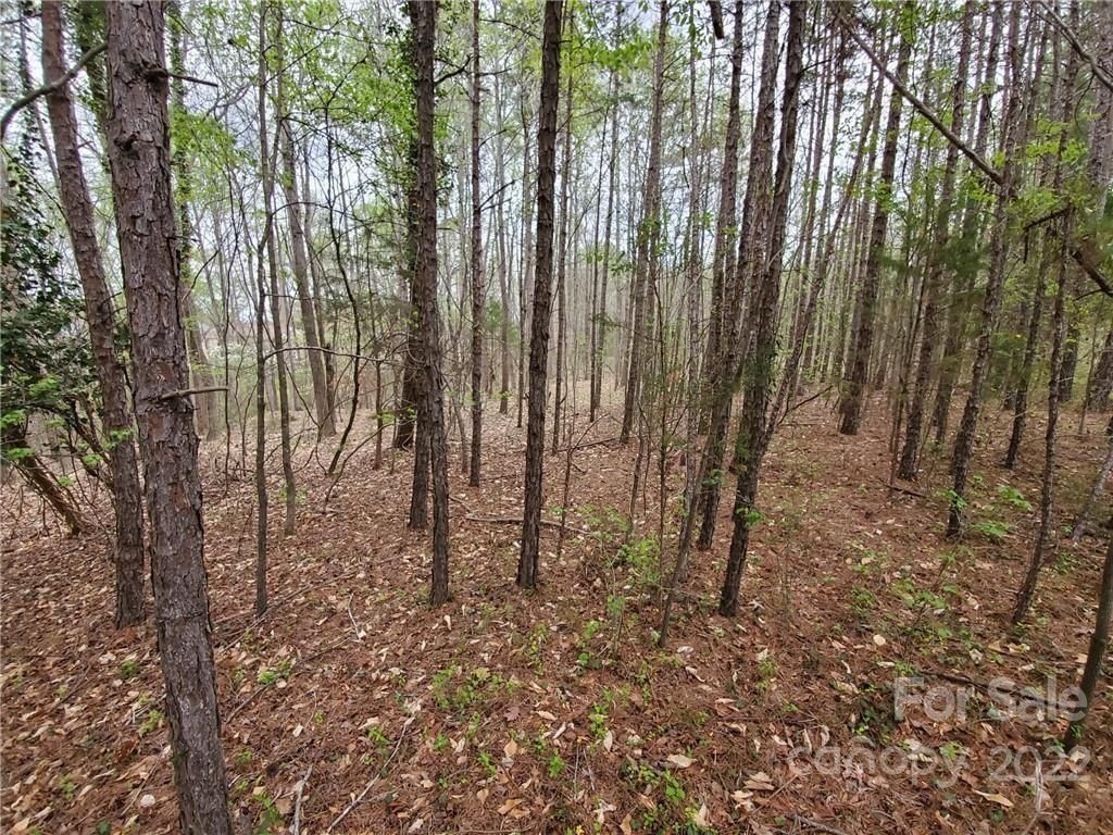 Lot 4 Forest Lawn Dr, Matthews, NC 28104 | Trulia