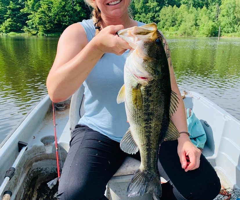 1216 Sam Taylor Rd #WP001, Henning, TN 38041 - See Est. Value, Schools ...