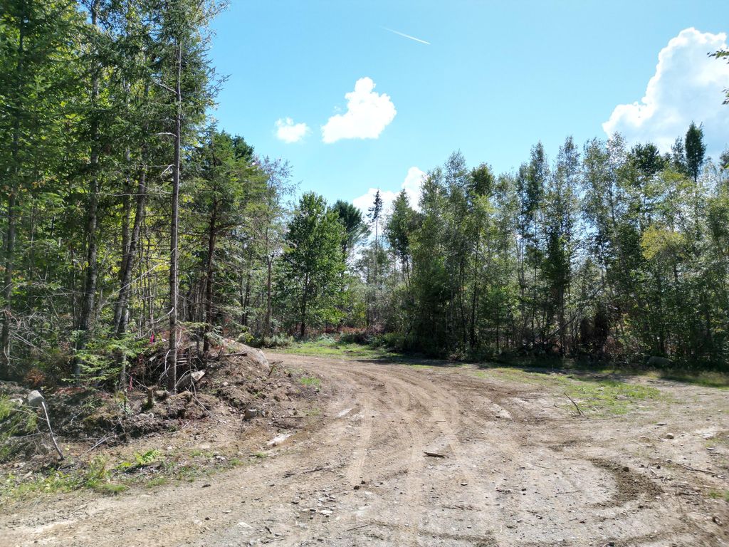 Off Getchell Mountain Road, Springfield, ME 04487 | MLS# 1637254 | Trulia