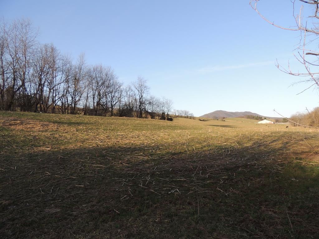 1/3 Undivided Interest, Max Meadows, VA 24360 - See Est. Value, Schools ...