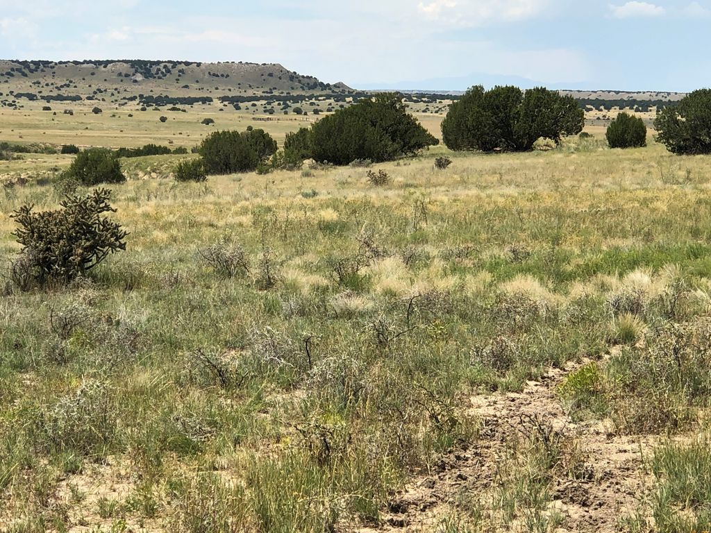 Las Animas Rnch #2300, Model, CO 81059 | Trulia