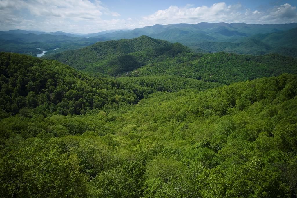 Black Forest Dr, Bryson City, NC 28713 | MLS# 26036626 | Trulia