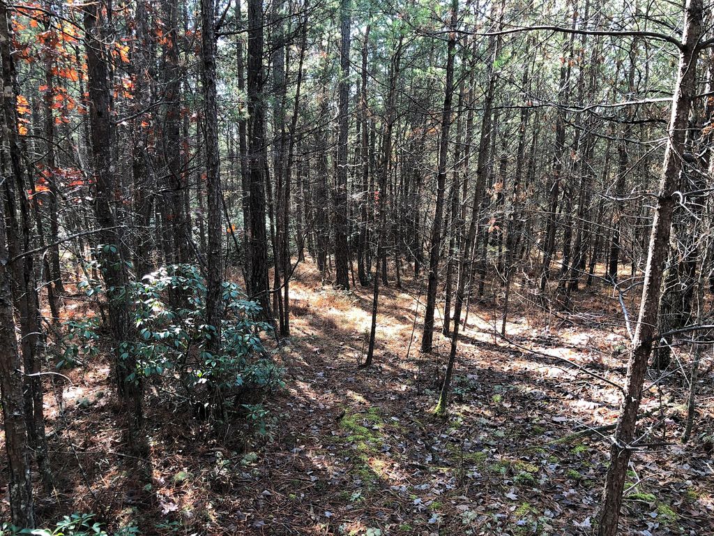 Tract G Lignite Rd, Oriskany, VA 24130 - See Est. Value, Schools & More