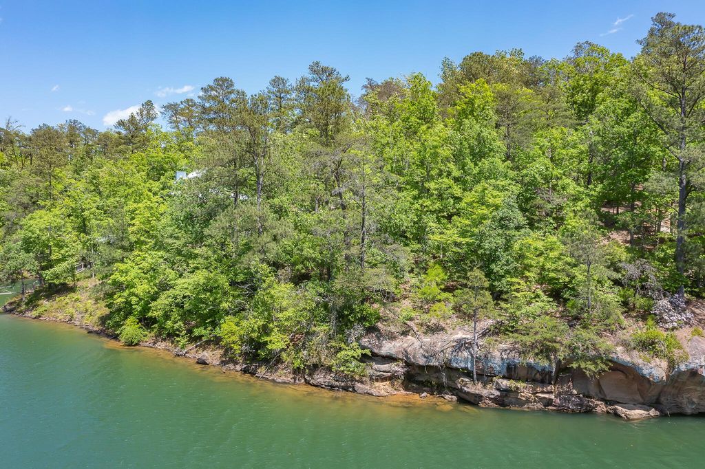 13 The Hamptons, Arley, AL 35541 - See Est. Value, Schools & More