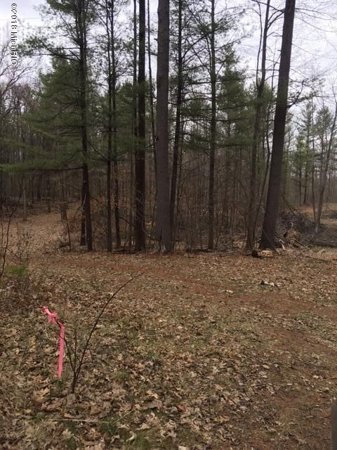 W Baseline Rd, White Cloud, MI 49349 | Trulia