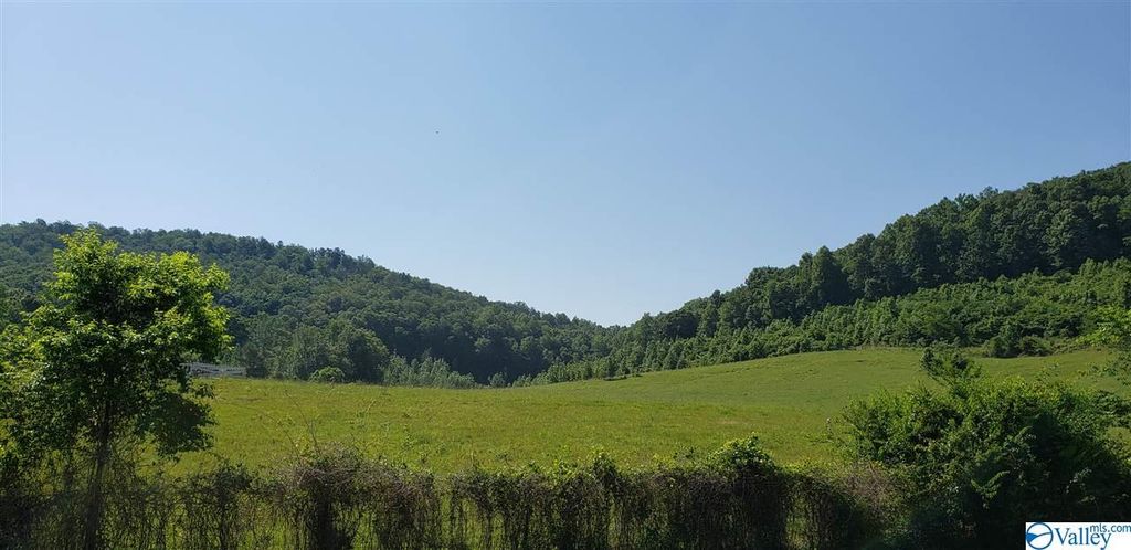 1 County Road 41, Gaylesville, AL 35973 | Trulia