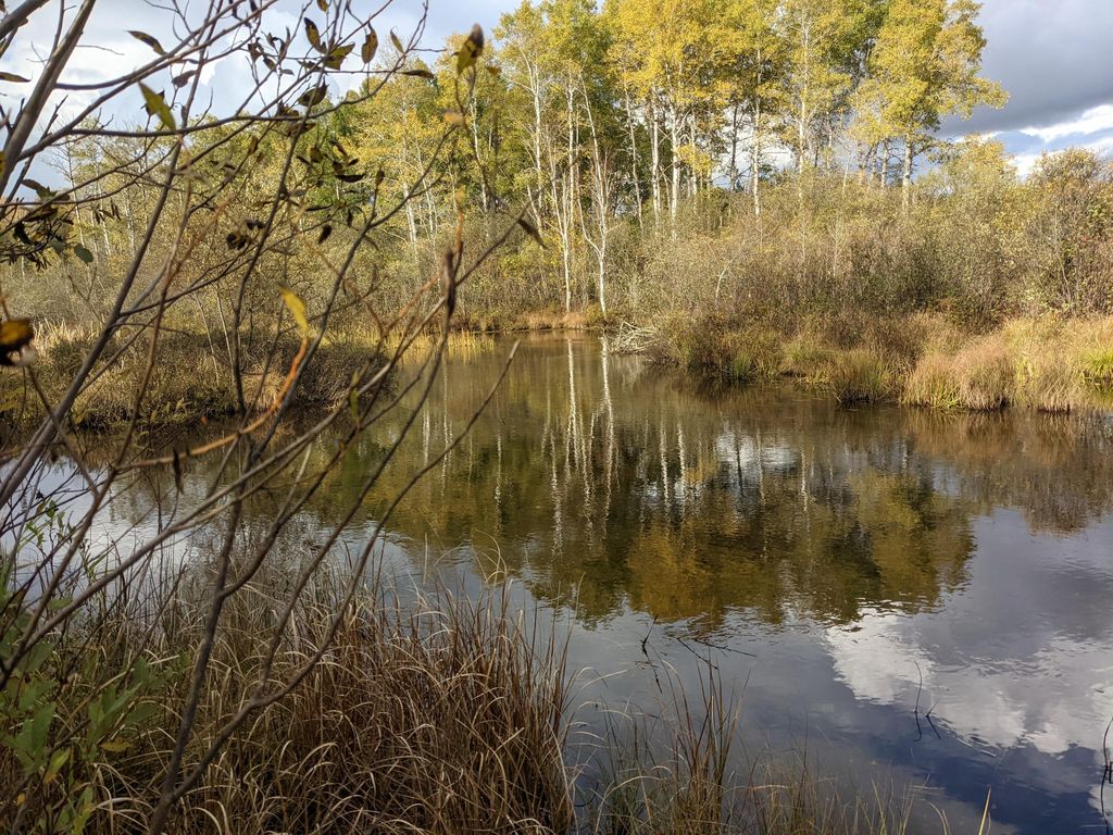 Turtle Lake Rd, Gaylord, MI 49735 | Trulia