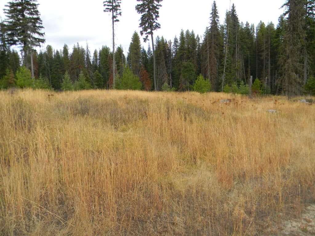 Nka Copperhead, Santa, ID 83866 - See Est. Value, Schools & More