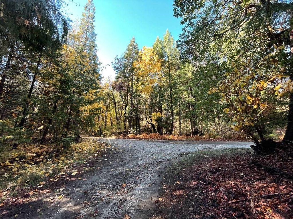 16405 Grizzly Ridge Rd, Nevada City, CA 95959 | MLS# 222059041 | Trulia