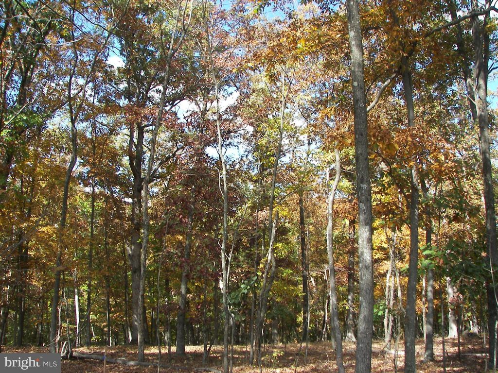 Key Pine Ln, Berkeley Springs, WV 25411 - See Est. Value, Schools & More