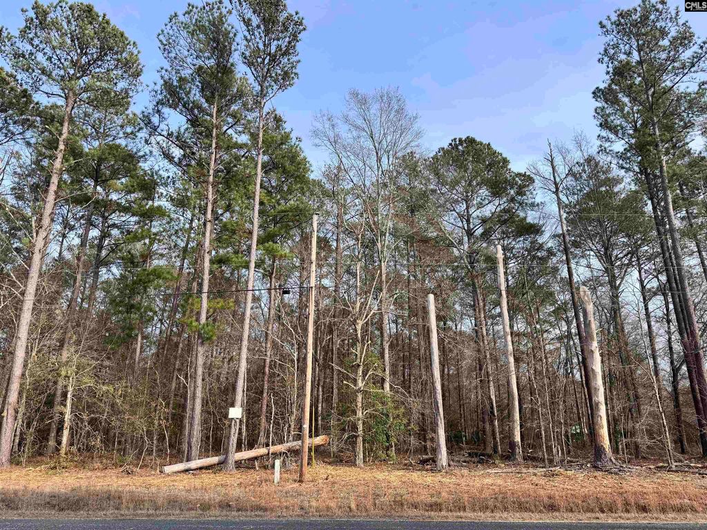Tba E Piney Branch Rd #S, Eastover, SC 29044 | MLS# 624659 - Trulia ...