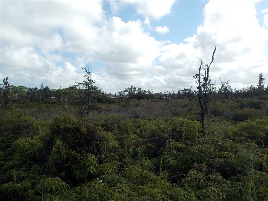 15-1590 3rd Ave #2621, Keaau, HI 96749 - See Est. Value, Schools & More