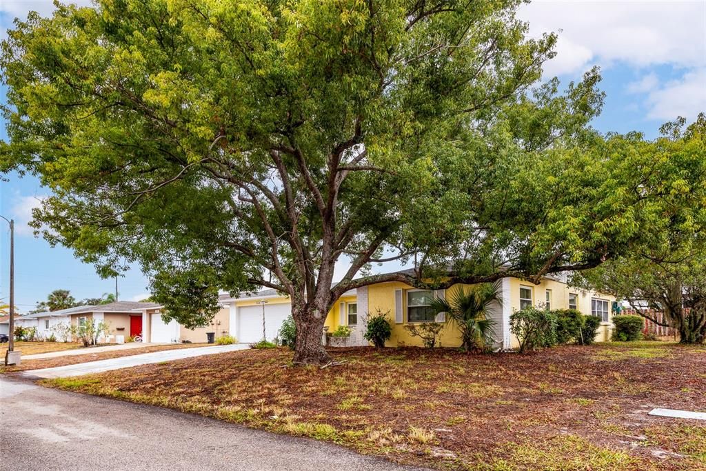 7515 Greybirch Ter, Port Richey, FL 34668 | Trulia