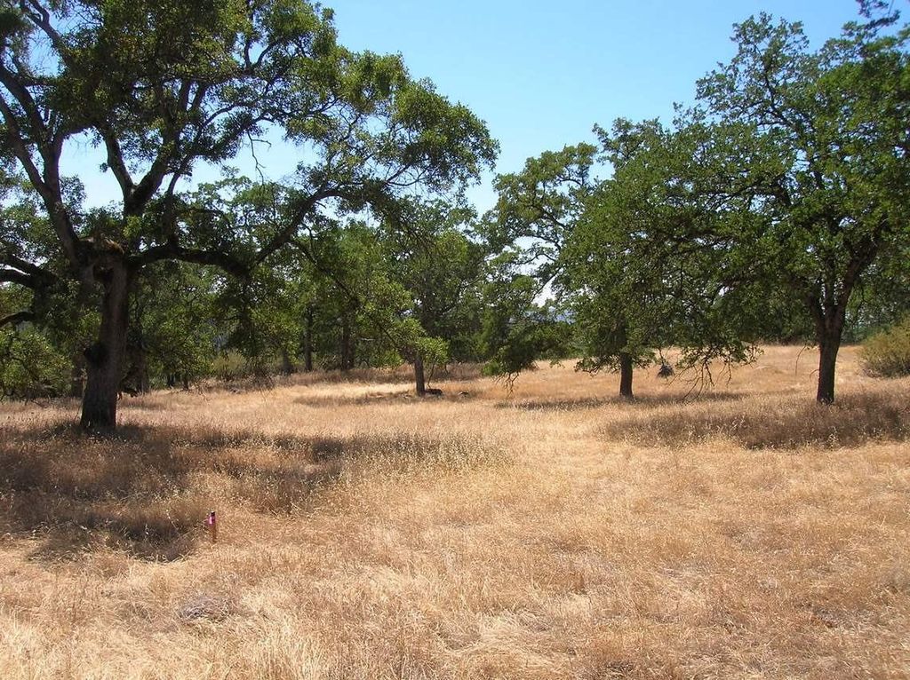 Tower Rd, Mount Aukum, CA 95656 - See Est. Value, Schools & More