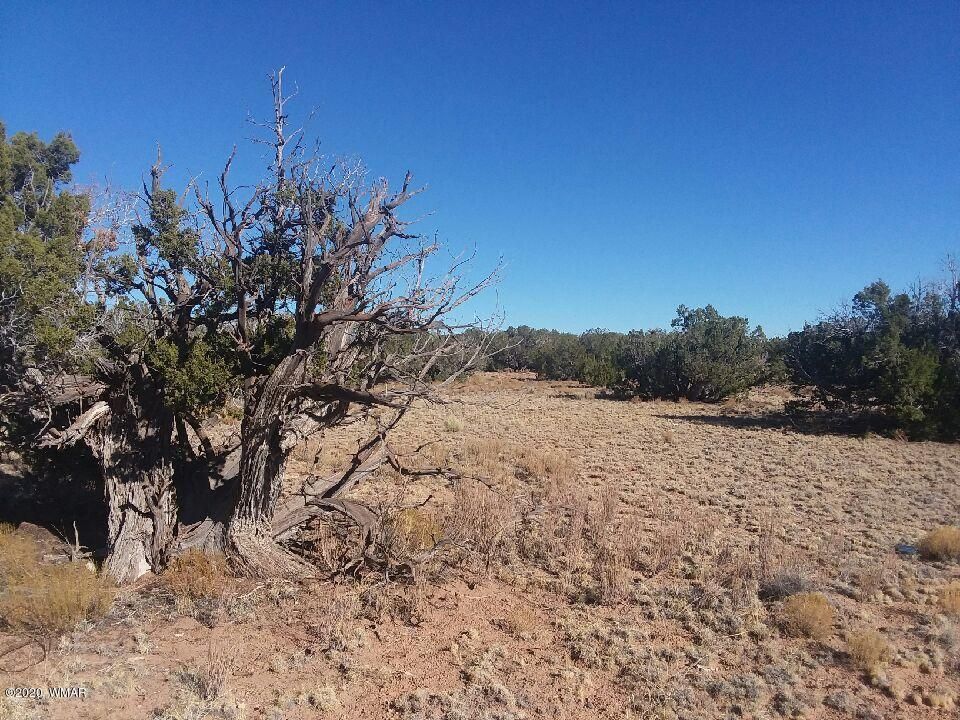 Lot-86A Witch Well Ranches St, Saint Johns, AZ 85936 | Trulia