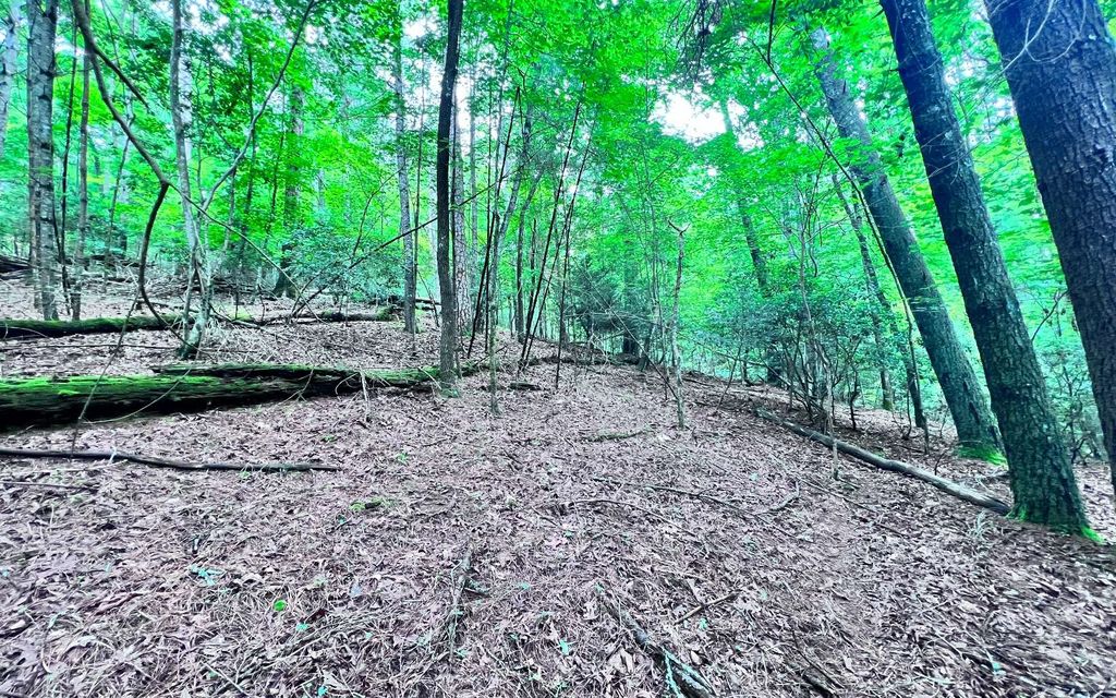 L3675 Fern Dr, Ellijay, GA 30540 | Trulia