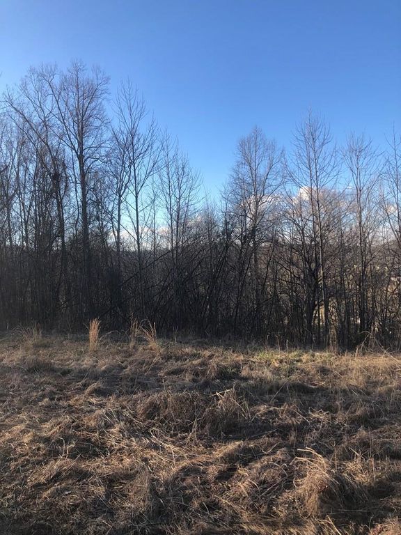 Camellia Rd, Newport, TN 37821 - See Est. Value, Schools & More