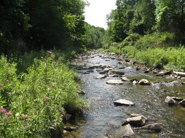 Cochrane Rd, Bath, NY 14810 | Trulia