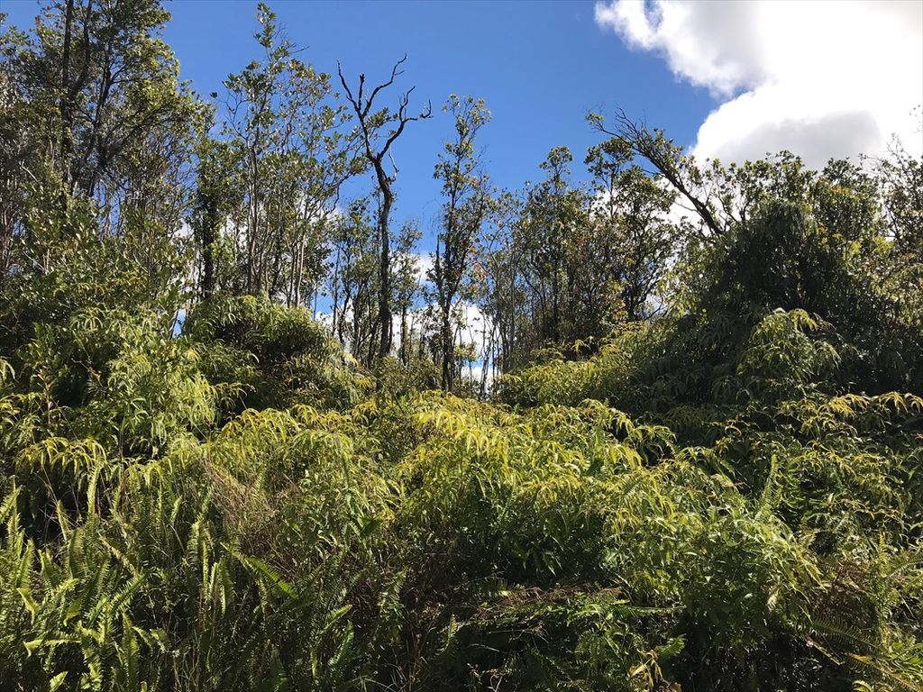 11-3322 Ala Naulani Rd #9, Volcano, HI 96785 - See Est. Value, Schools ...