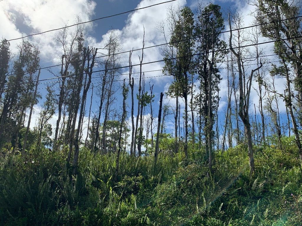 Malama St #42, Pahoa, HI 96778 - See Est. Value, Schools & More