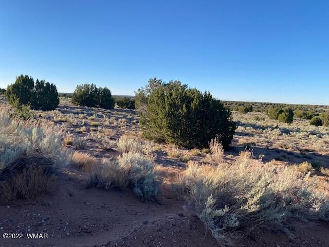 Lot 230 Red Sky Ranch St, Saint Johns, AZ 85936 | Trulia